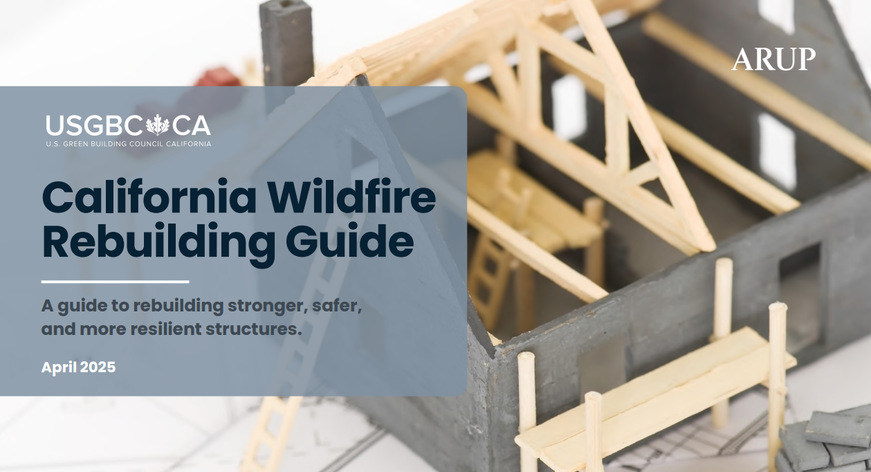 Building Back Stronger: A Guide to Resilient Rebuilding — APE ...