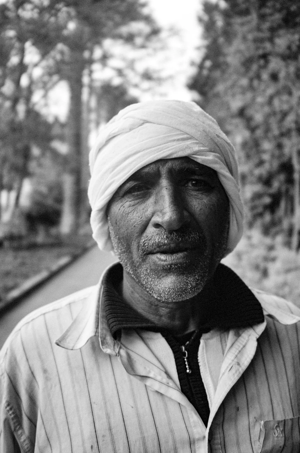 "SEAHORSE OF THE DESERT" — DEXTER NAVY