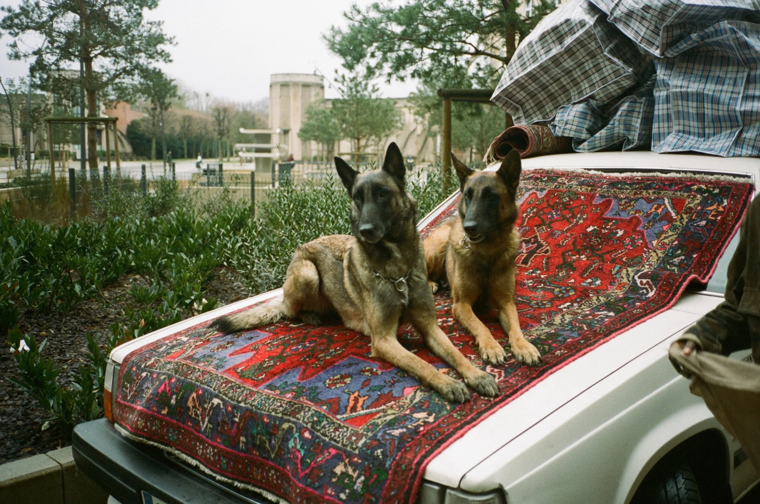 HOME — DEXTER NAVY