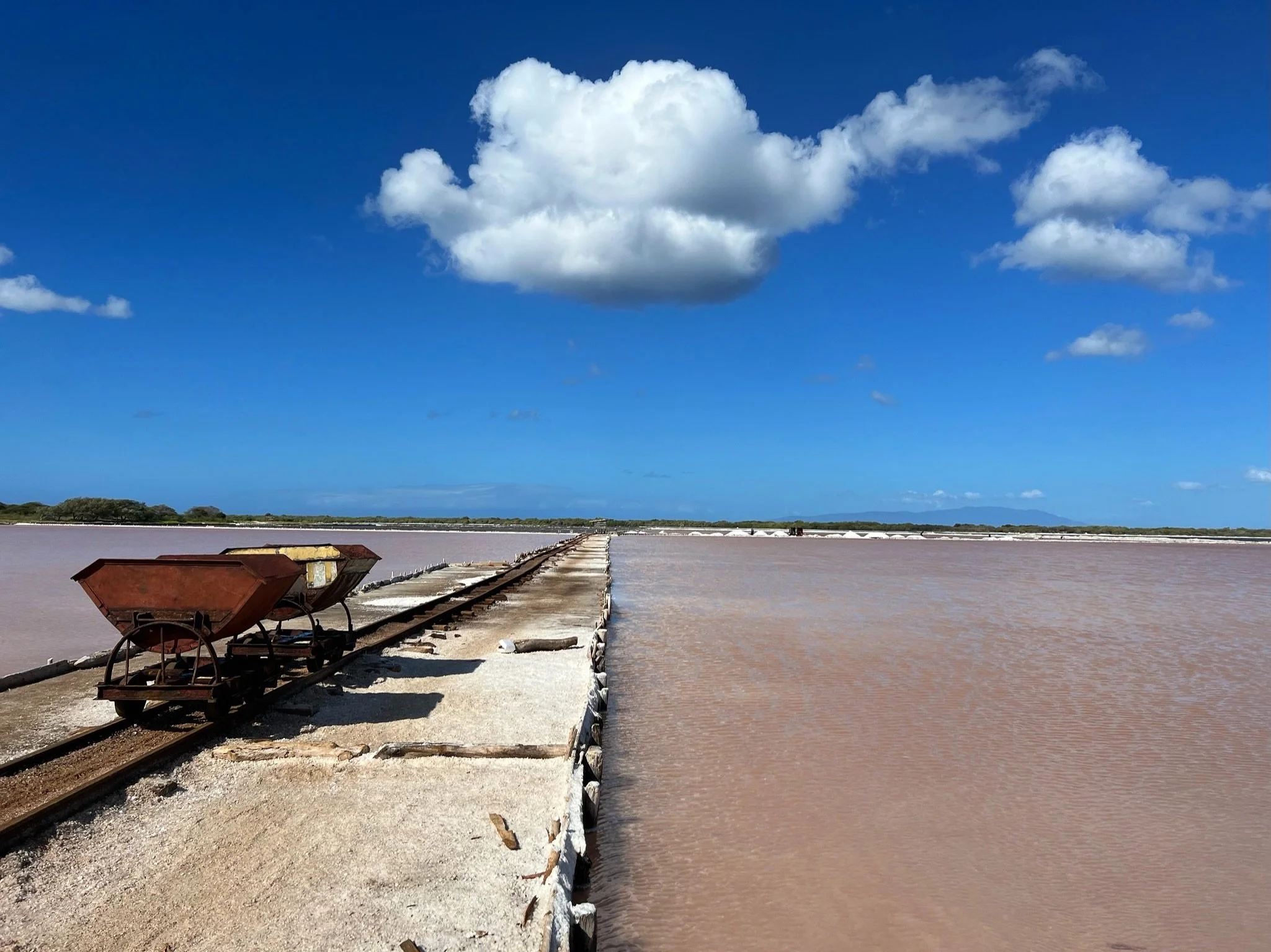 Las Salinas, Bani: Discover the Hidden Paradise of the Dominican ...