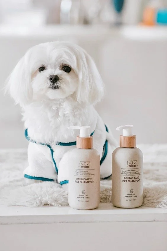 shop — ☁️ cloud grooming ☁️