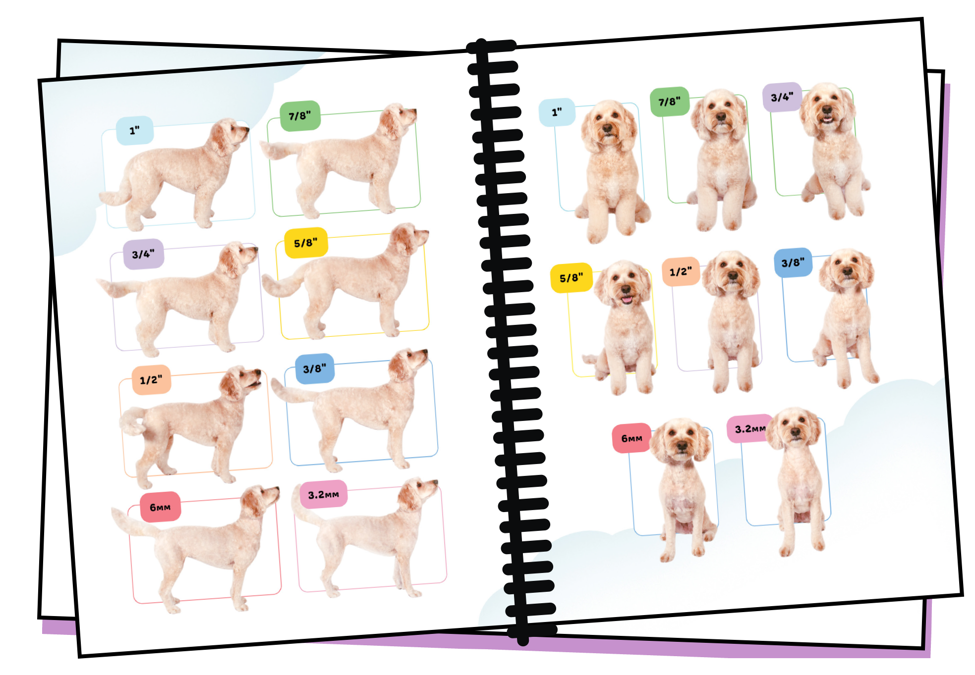 📒 Cloud Grooming Guidebook / A photo guide to clipper coat lengths for ...