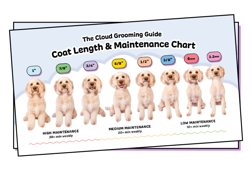 📒 The Cloud Grooming Guide — ☁️ cloud grooming ☁️