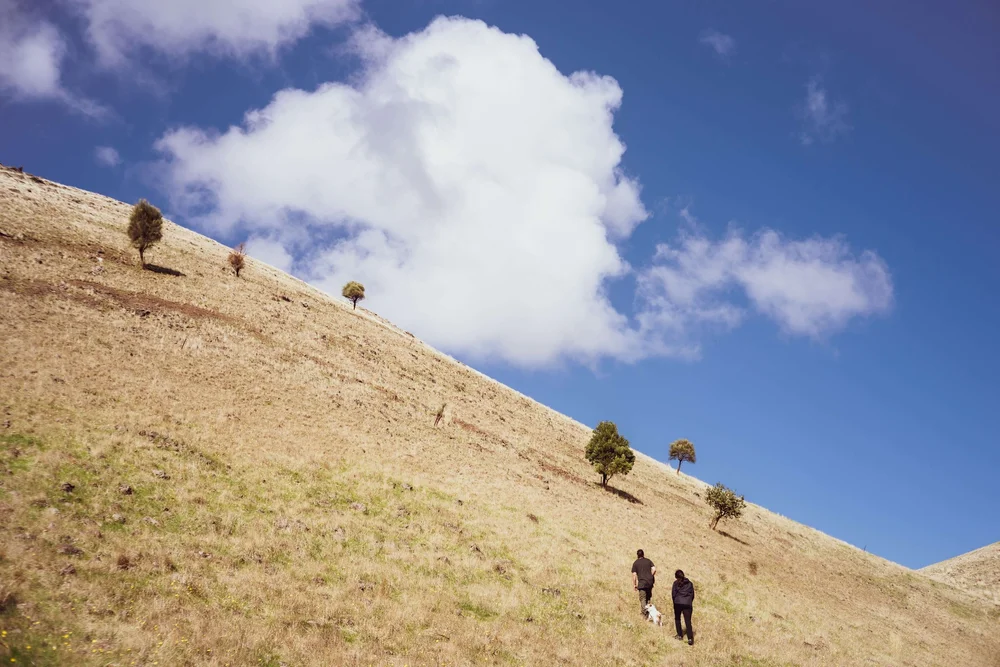 Visiting Mount Elephant in Victoria, Australia - a Must-See Dormant ...