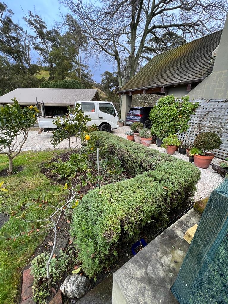 Gallery - See what we do — Botanical Studio Landscapes