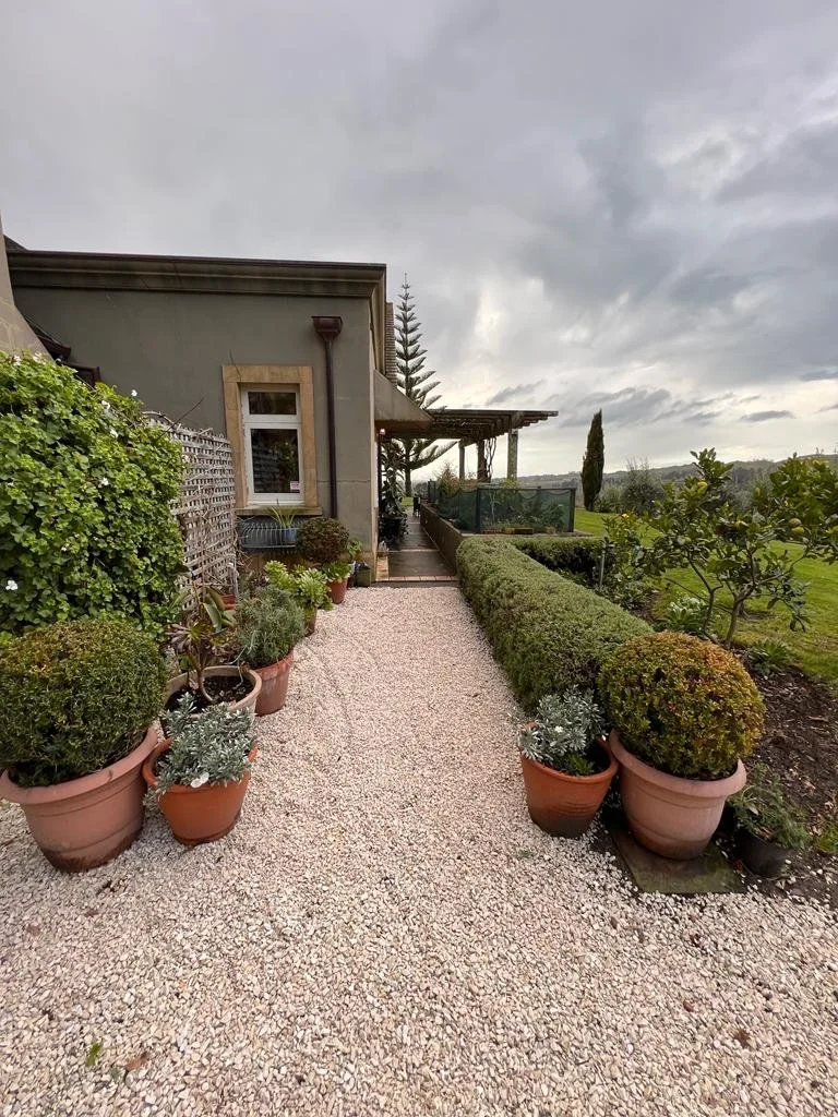 Gallery - See what we do — Botanical Studio Landscapes