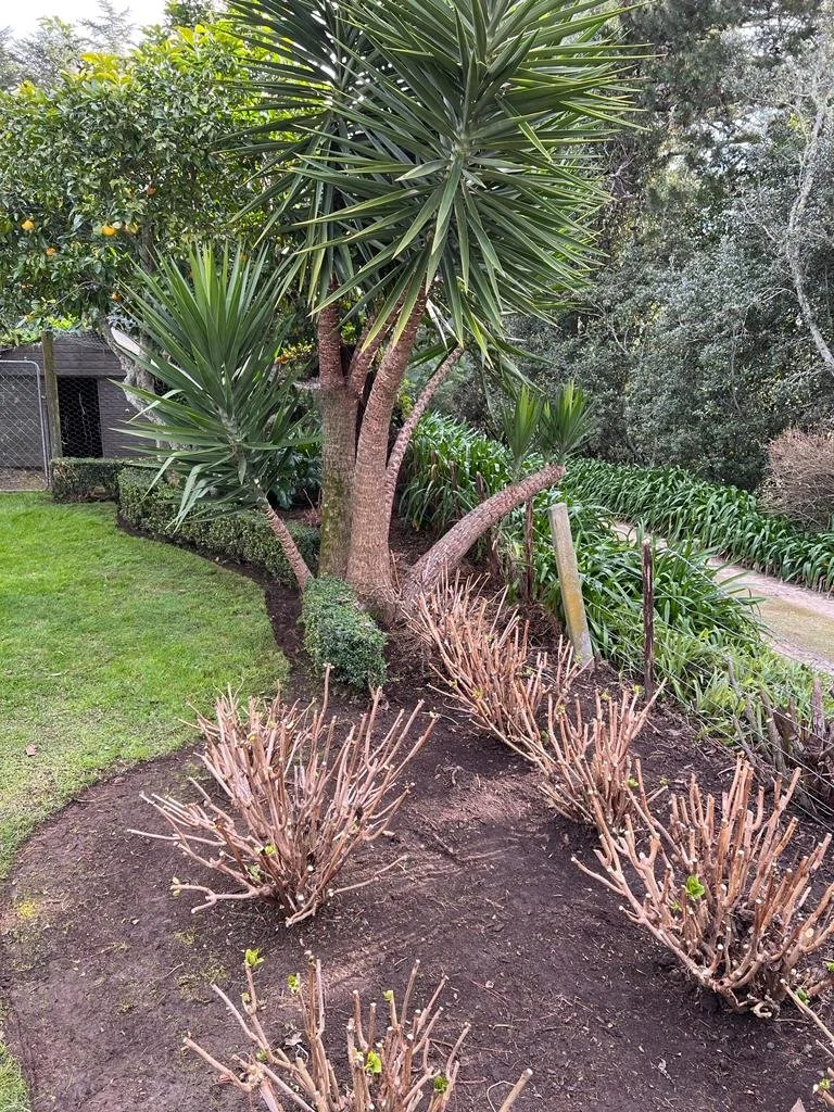 Gallery - See what we do — Botanical Studio Landscapes
