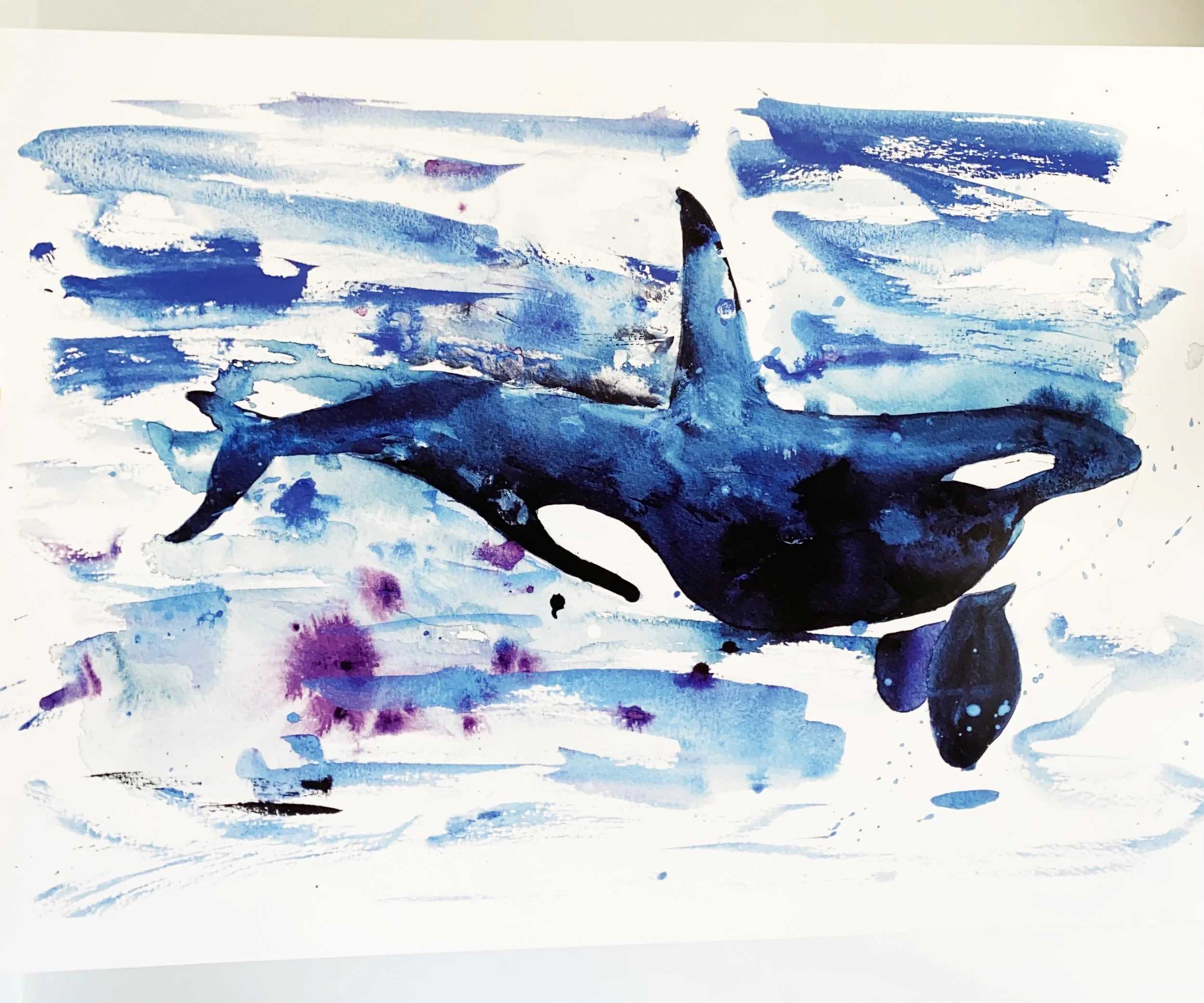 Contemporary orca art print from acrylic ink and watercolour painting ...