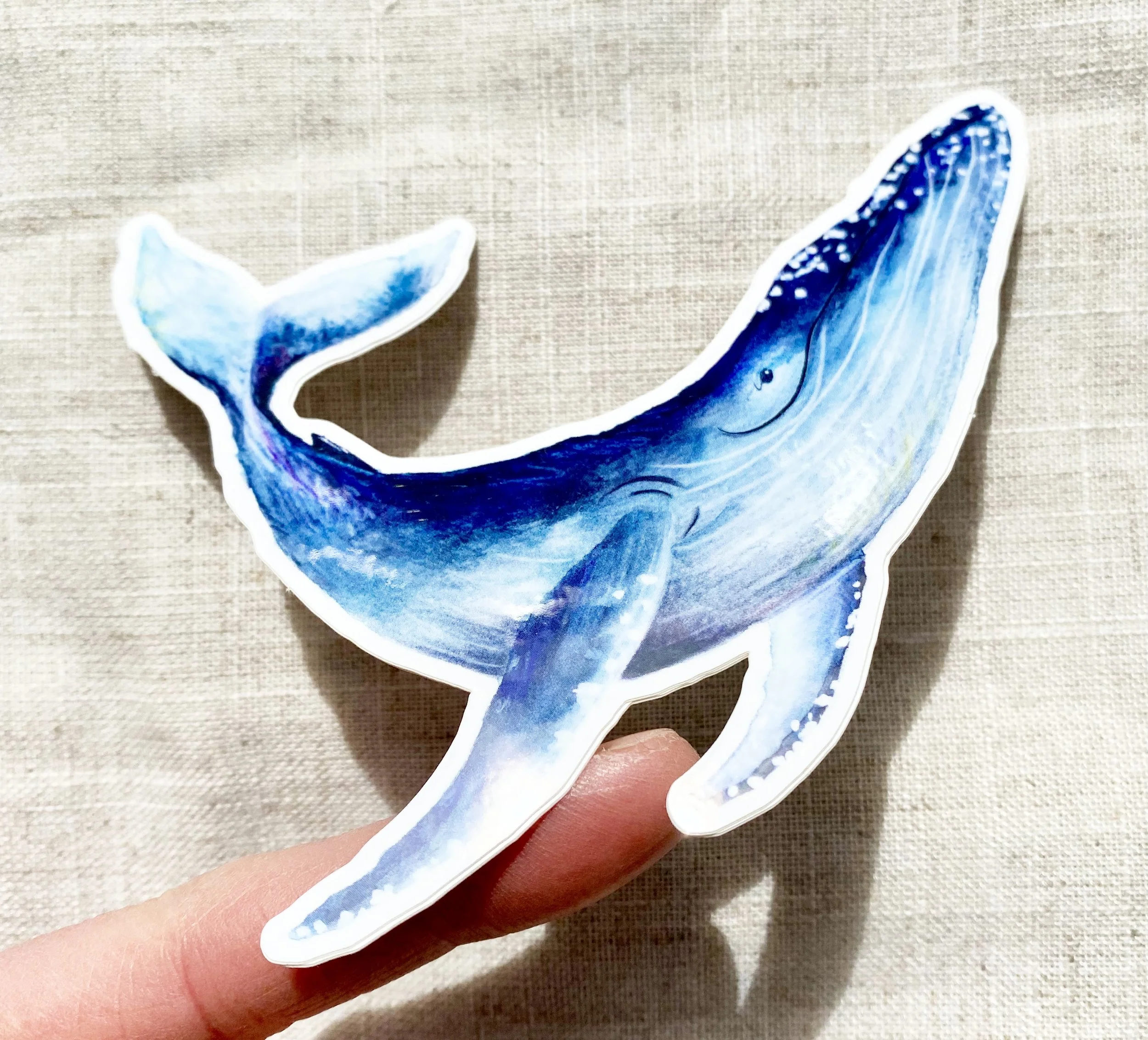 Glossy humpback whale illustration sticker for laptop or water bottle ...