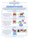 6th Edition ABA Supervision Curriculum & Study Manual — The ABA Network