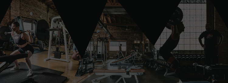 Gym Membership Chicago | Cheetah Gym Andersonville — Cheetah Gym