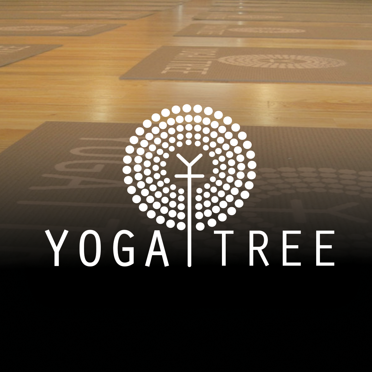 Cheetah Gym | Best Gym in Chicago | (773) 728-7777