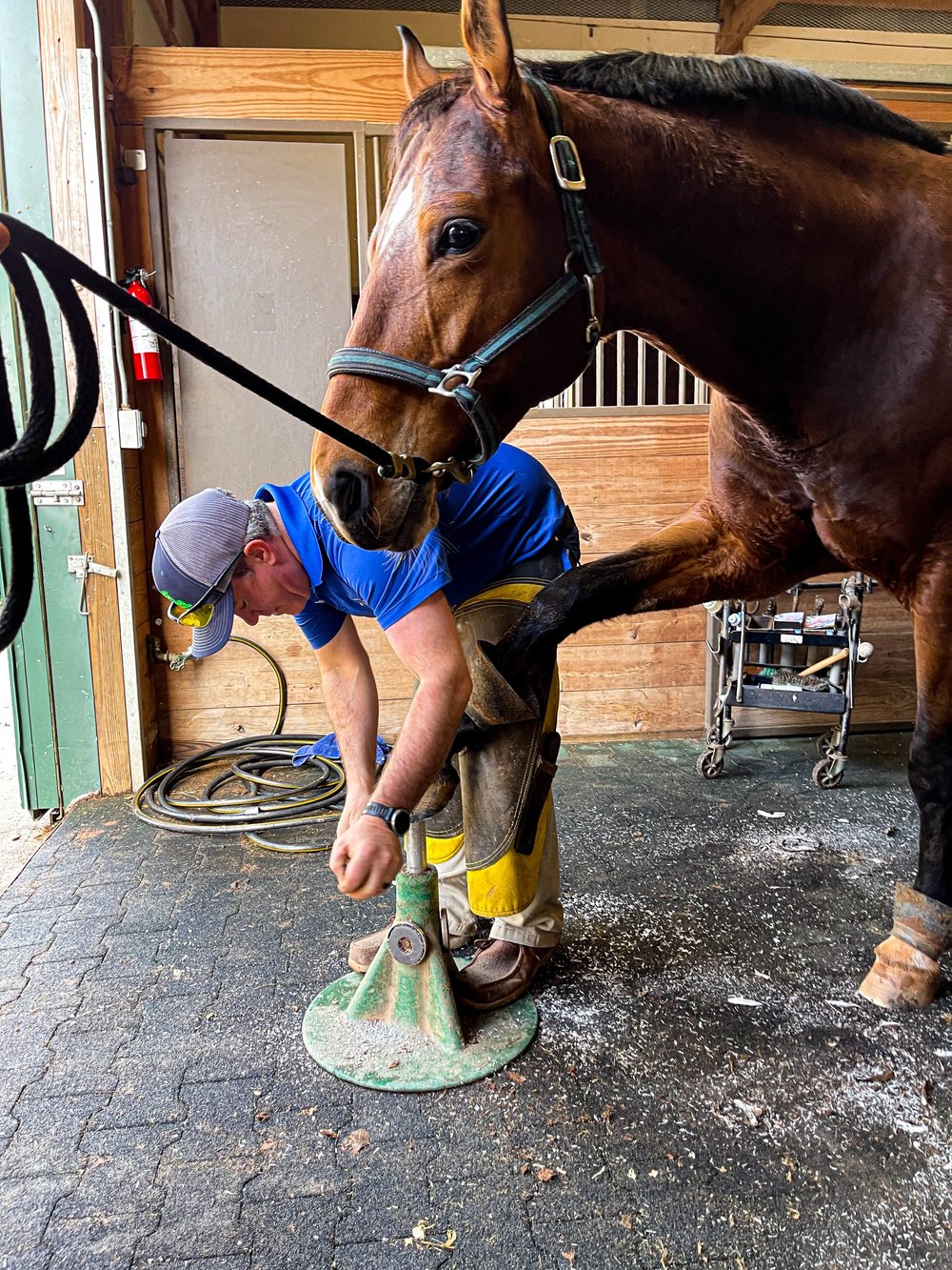 Equine Stall and Pasture Board — Gratitude Preserve