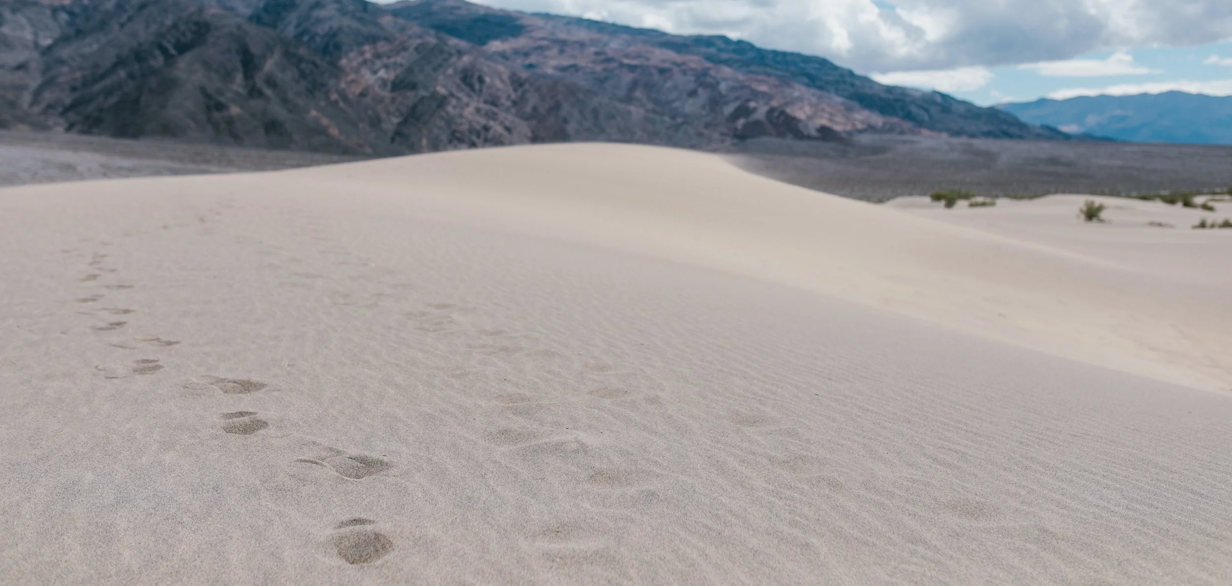 Vayera Menu — The Twisted Challah