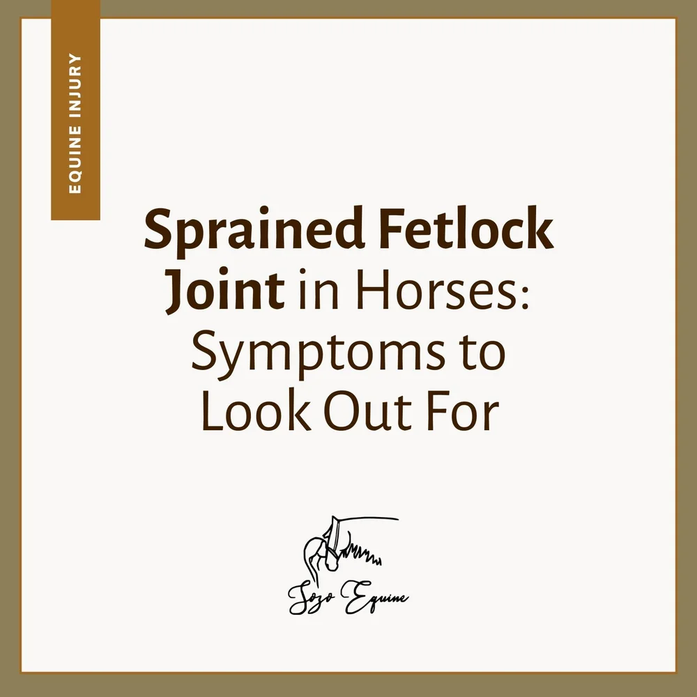 Sprained Fetlock Joint in Horses: Symptoms to Look Out For