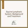 Equine Lymphatic System: Background and Treatment
