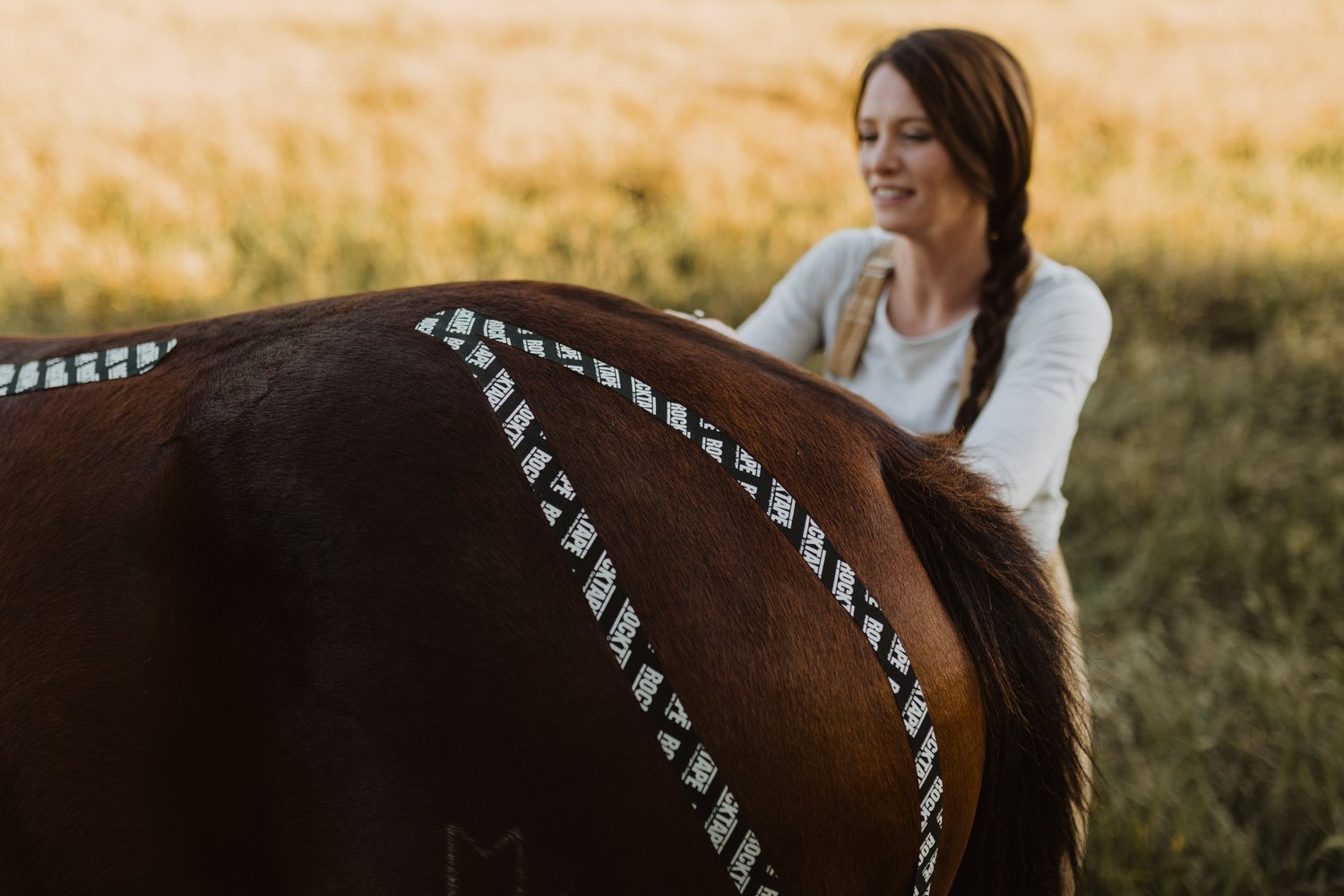 Equine Kinesiology Taping and Cupping Courses — Sozo Equine®