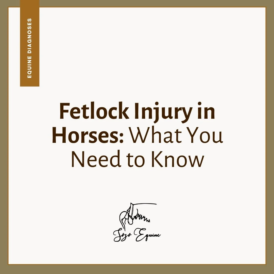 Fetlock Injury in Horses: What You Need to Know