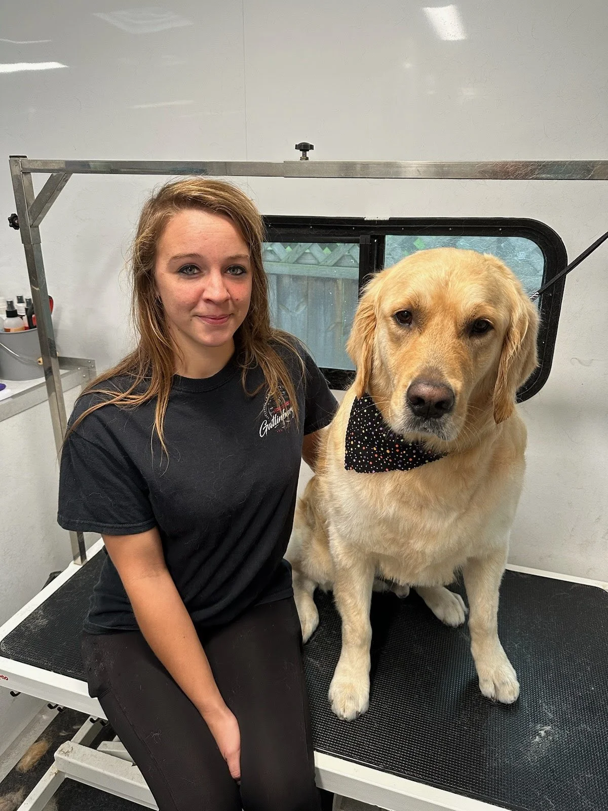 Meet The Team — Love Your Doggo