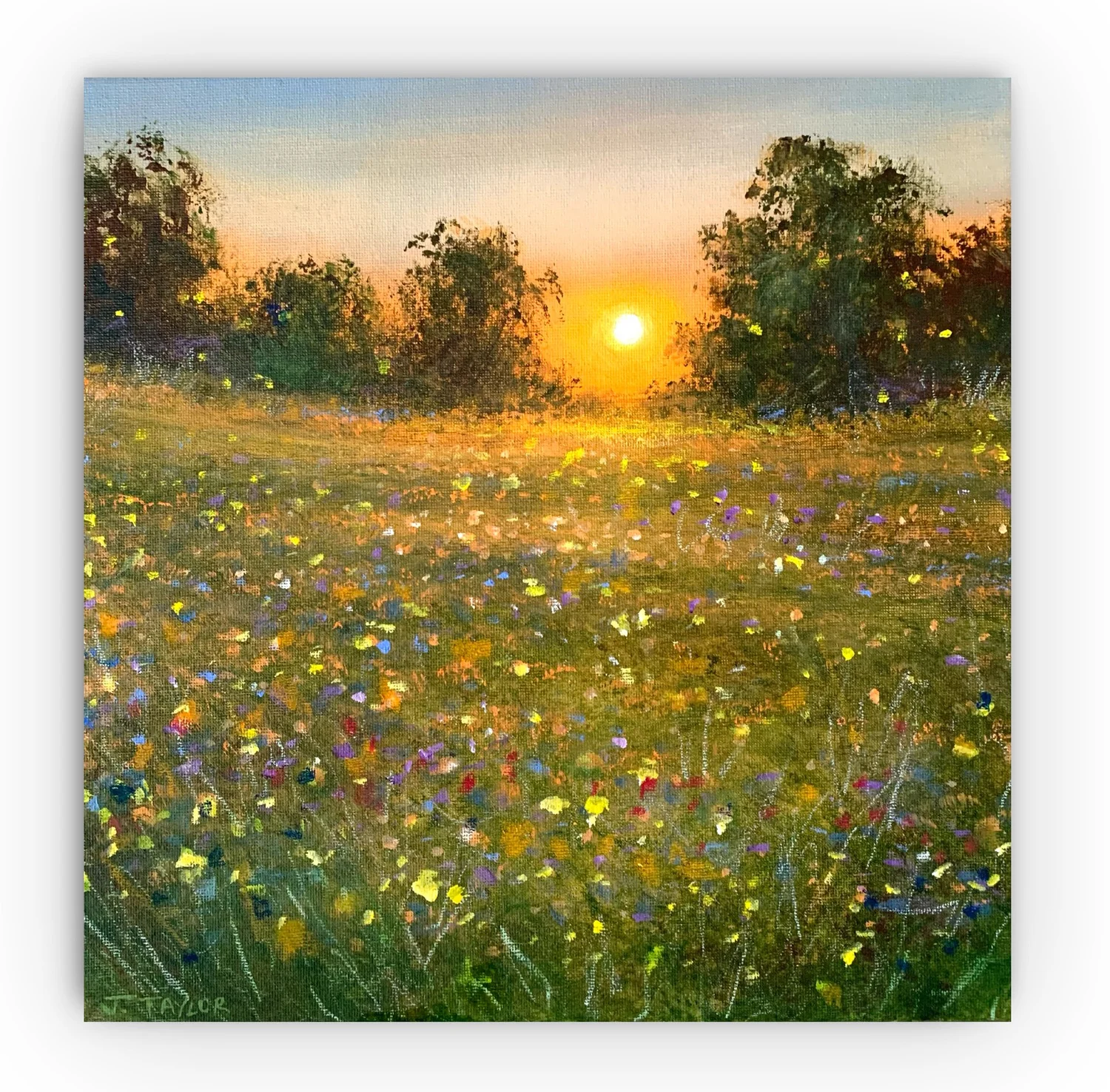 Originals — Jennifer Taylor Artist