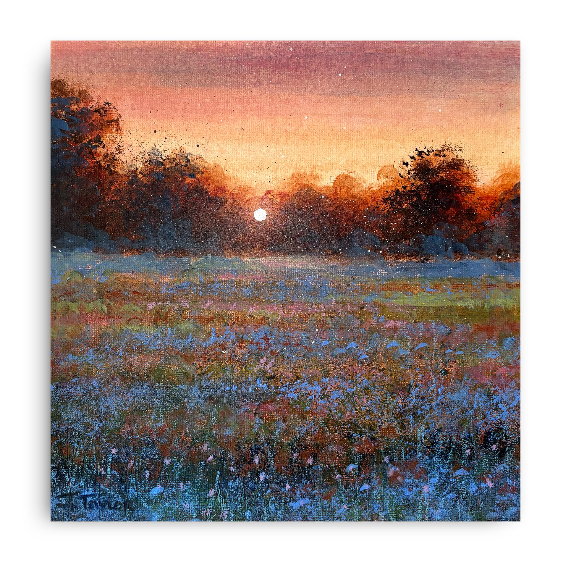 Originals — Jennifer Taylor Artist