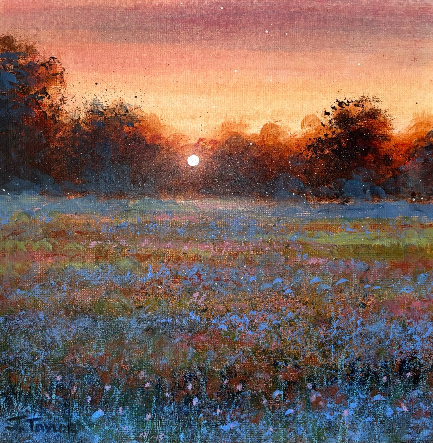 Originals — Jennifer Taylor Artist