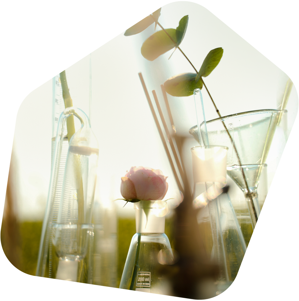 Fragrance | Enhance Your Environment — Actualised Industries