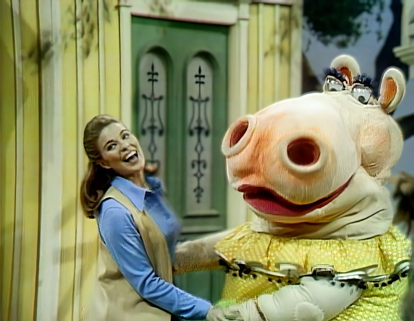 ABOUT THE SHOW — THE NEW ZOO REVUE