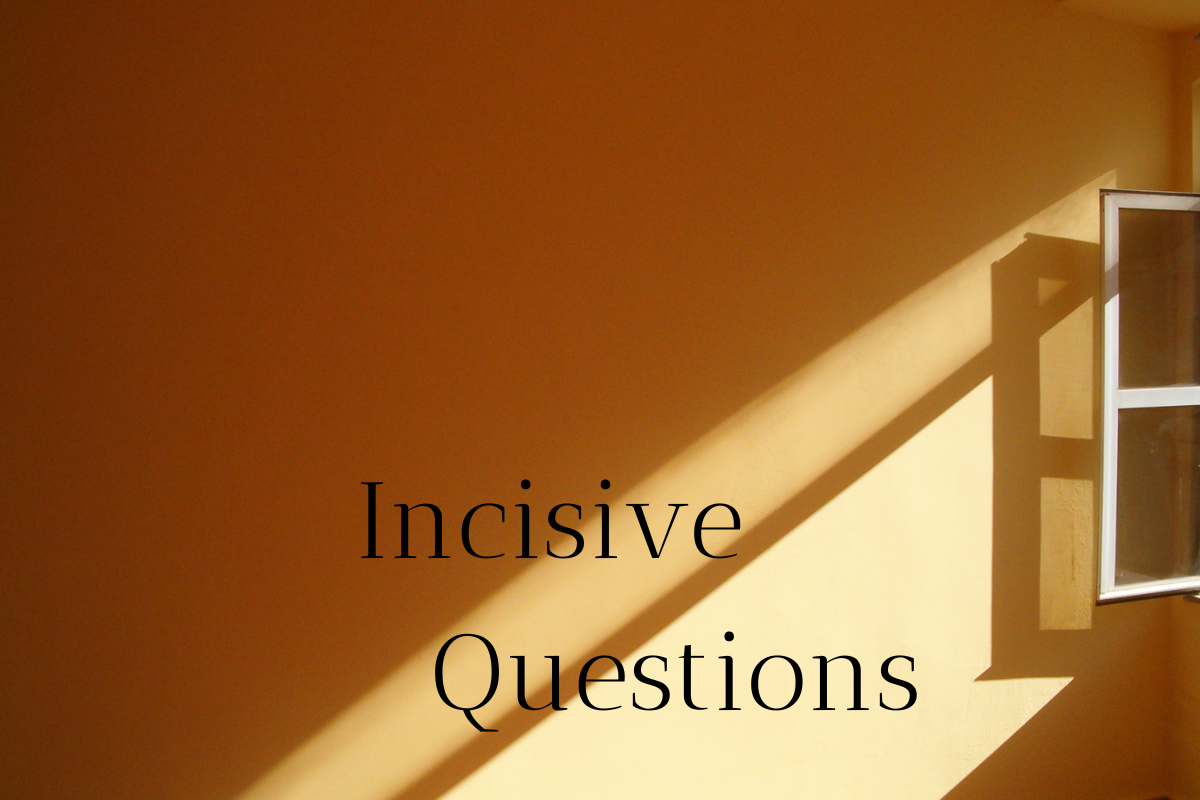 Certified Thinking Partnership and Foundation Courses — Thinking Cultures