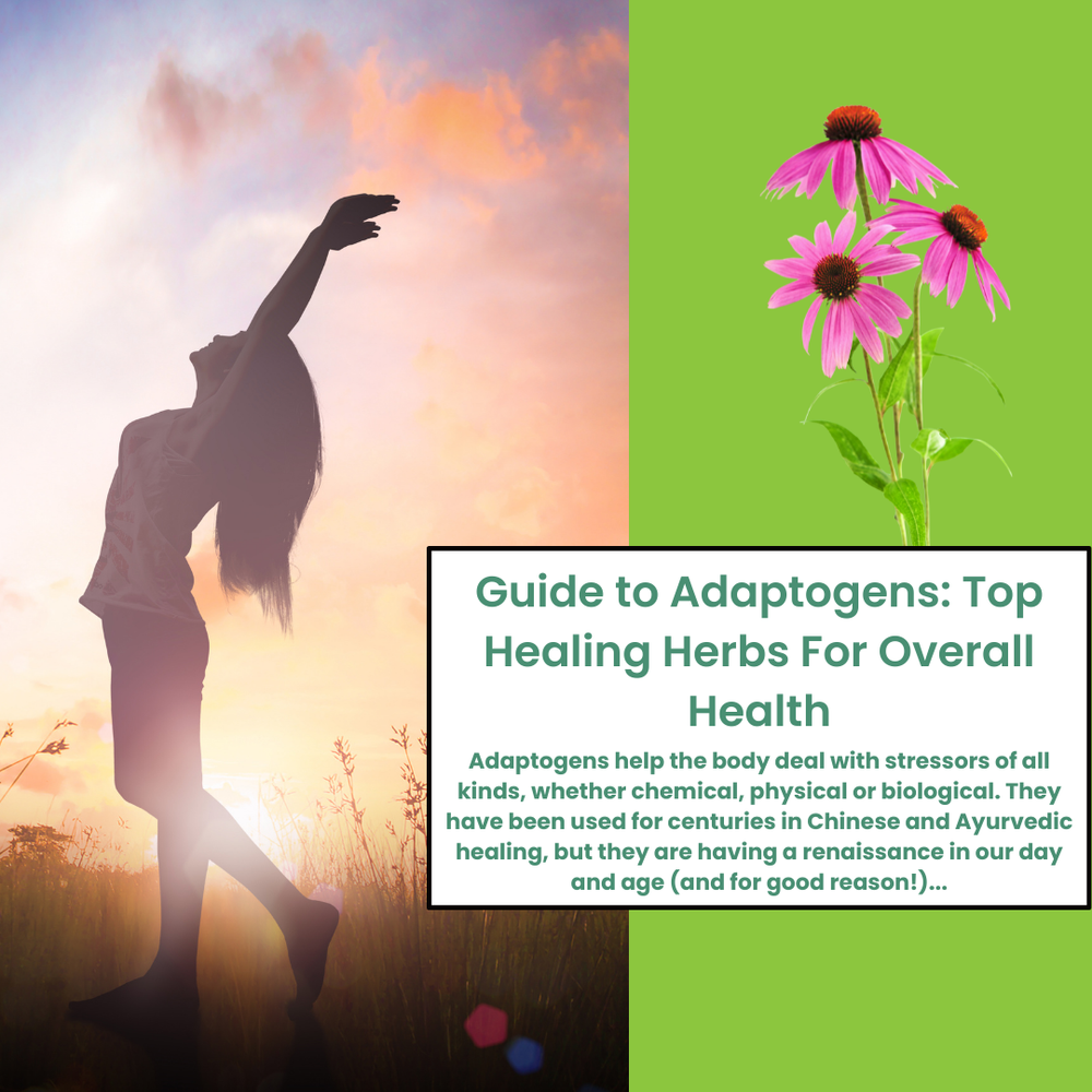 Guide to Adaptogens: Top Healing Herbs For Overall Health — Divine ...
