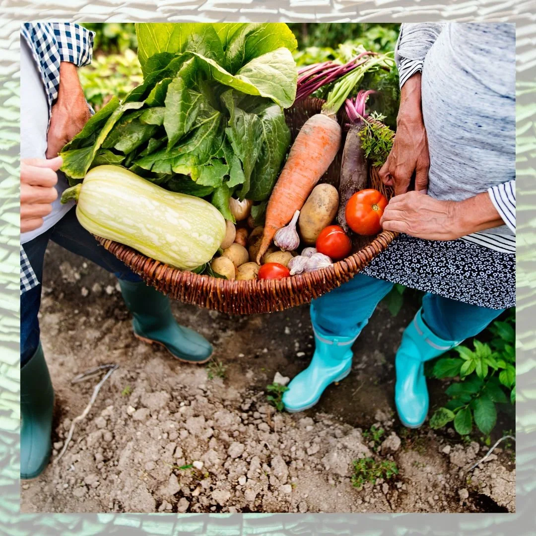 A Journey Through the Garden to Health and Self-Sufficiency — Divine ...