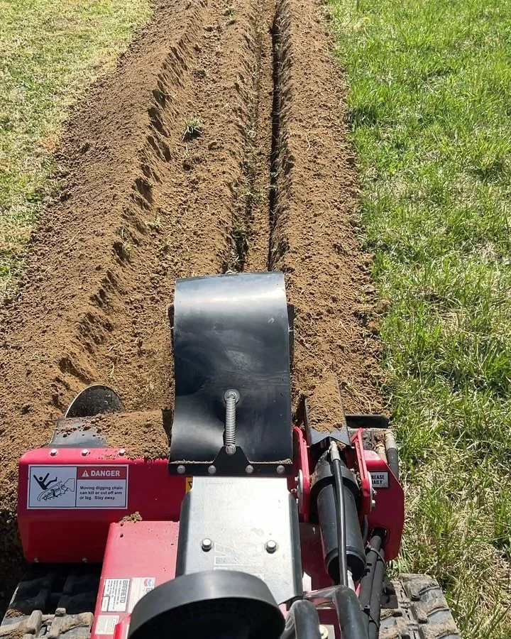 Poplar Ridge Farms | Naturally Grown Produce | Pastured Lamb, Pork & Eggs