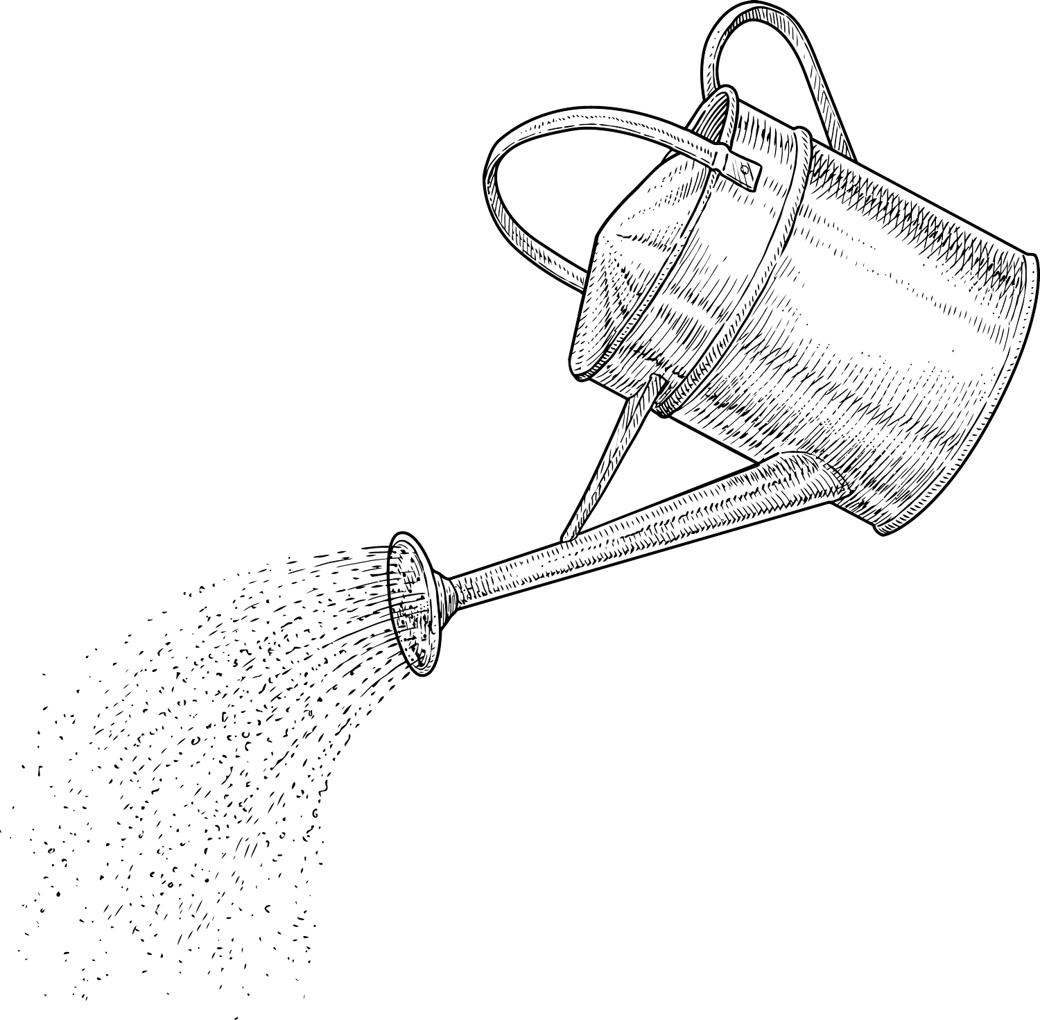 Our Team — Outsider