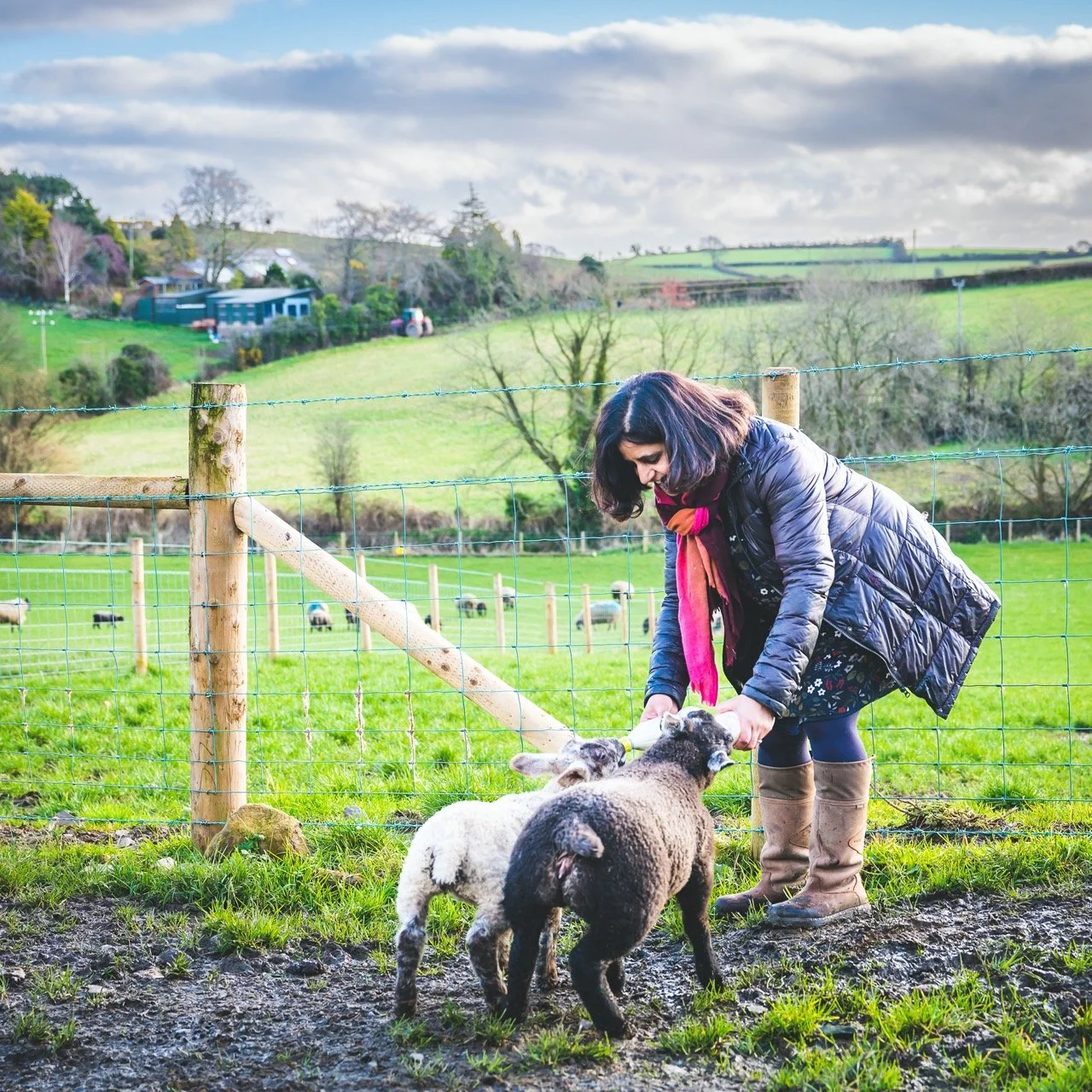 Our Story — Glenside Farm