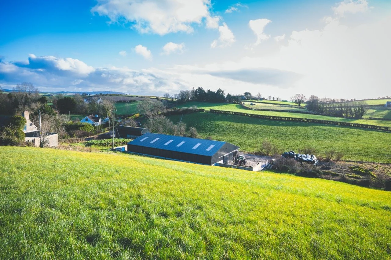 Glen Cowie Pedigree — Glenside Farm