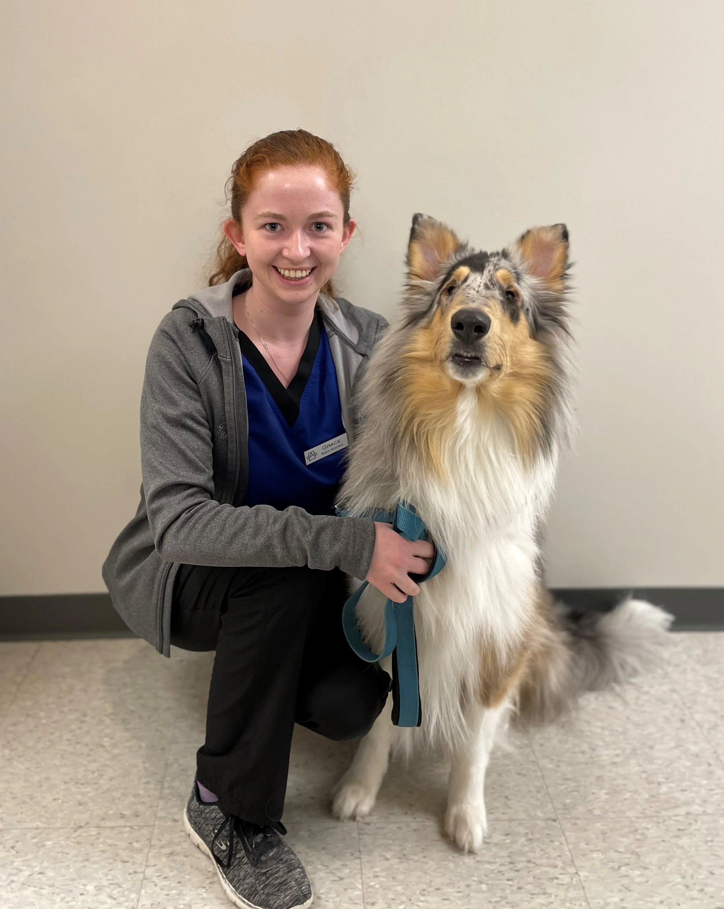 Team — Graham Animal Hospital
