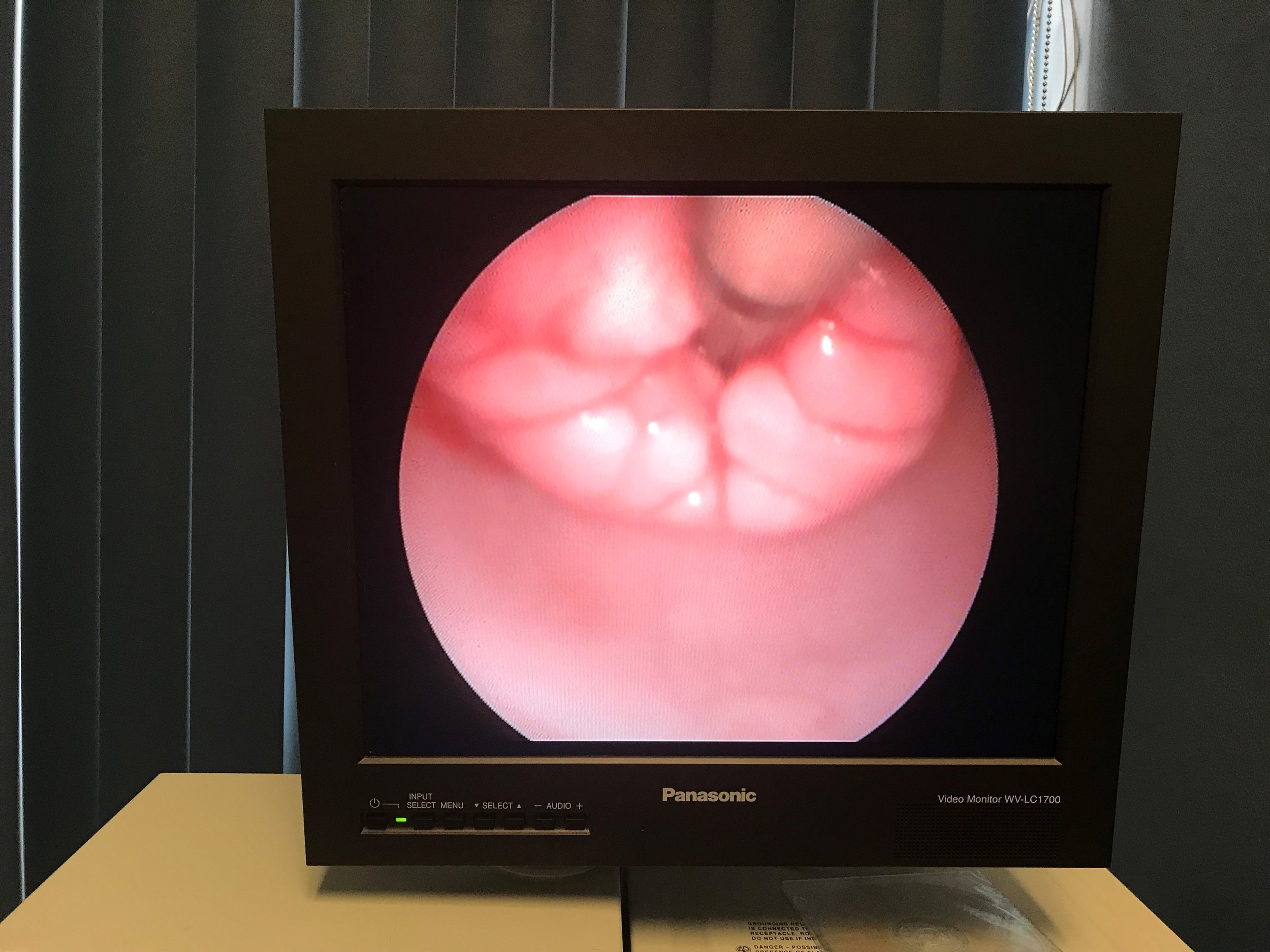 Artificial Insemination — Graham Animal Hospital