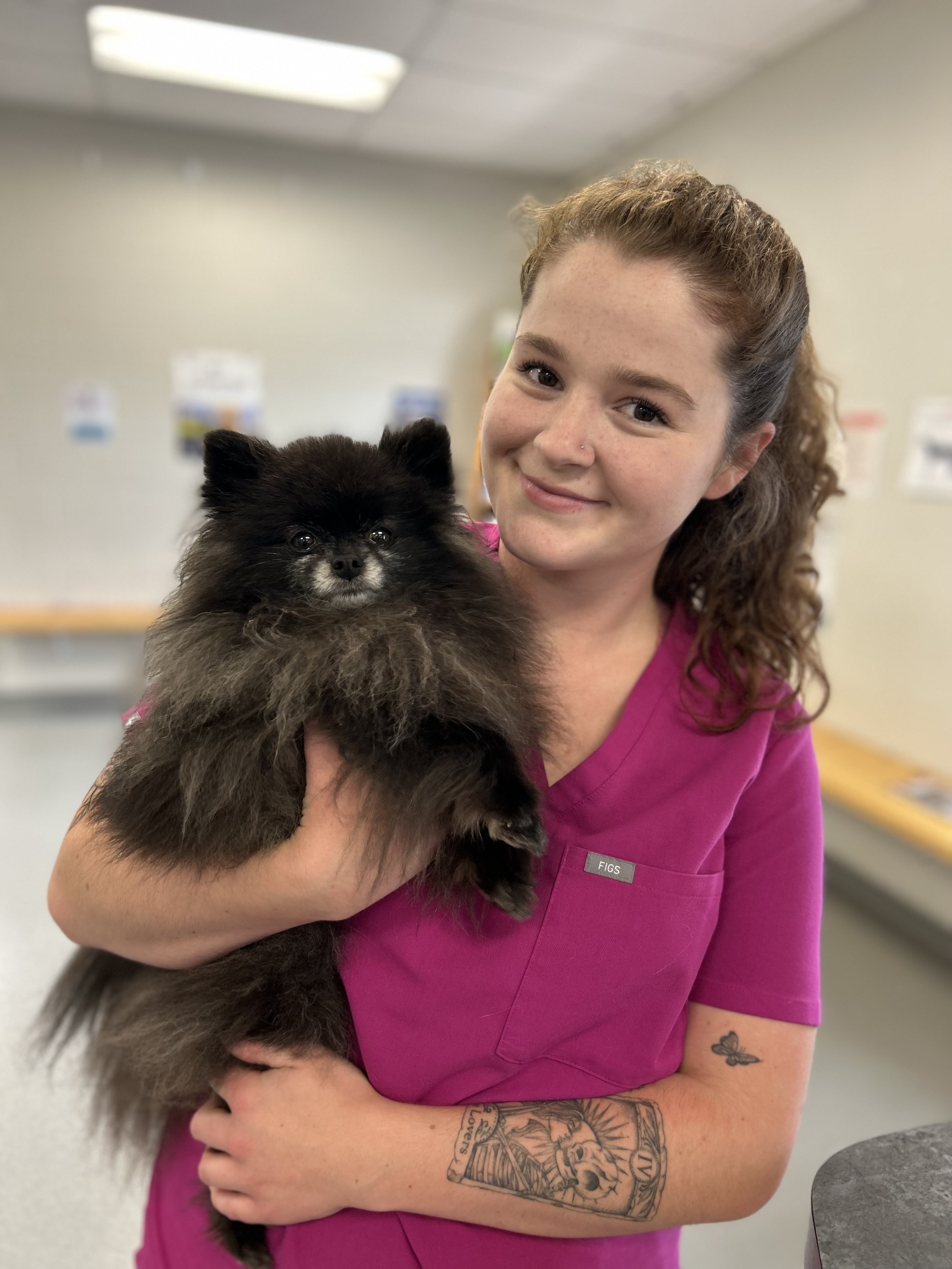 Team — Graham Animal Hospital