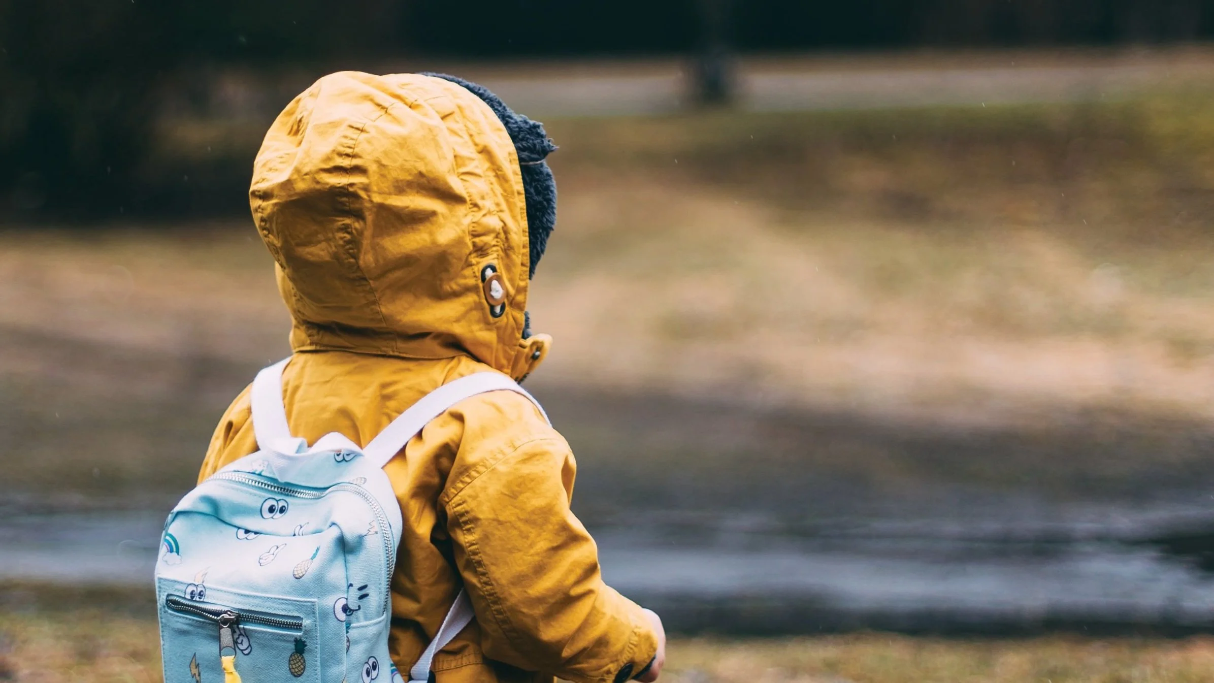 Counterflow- Safe Shelter