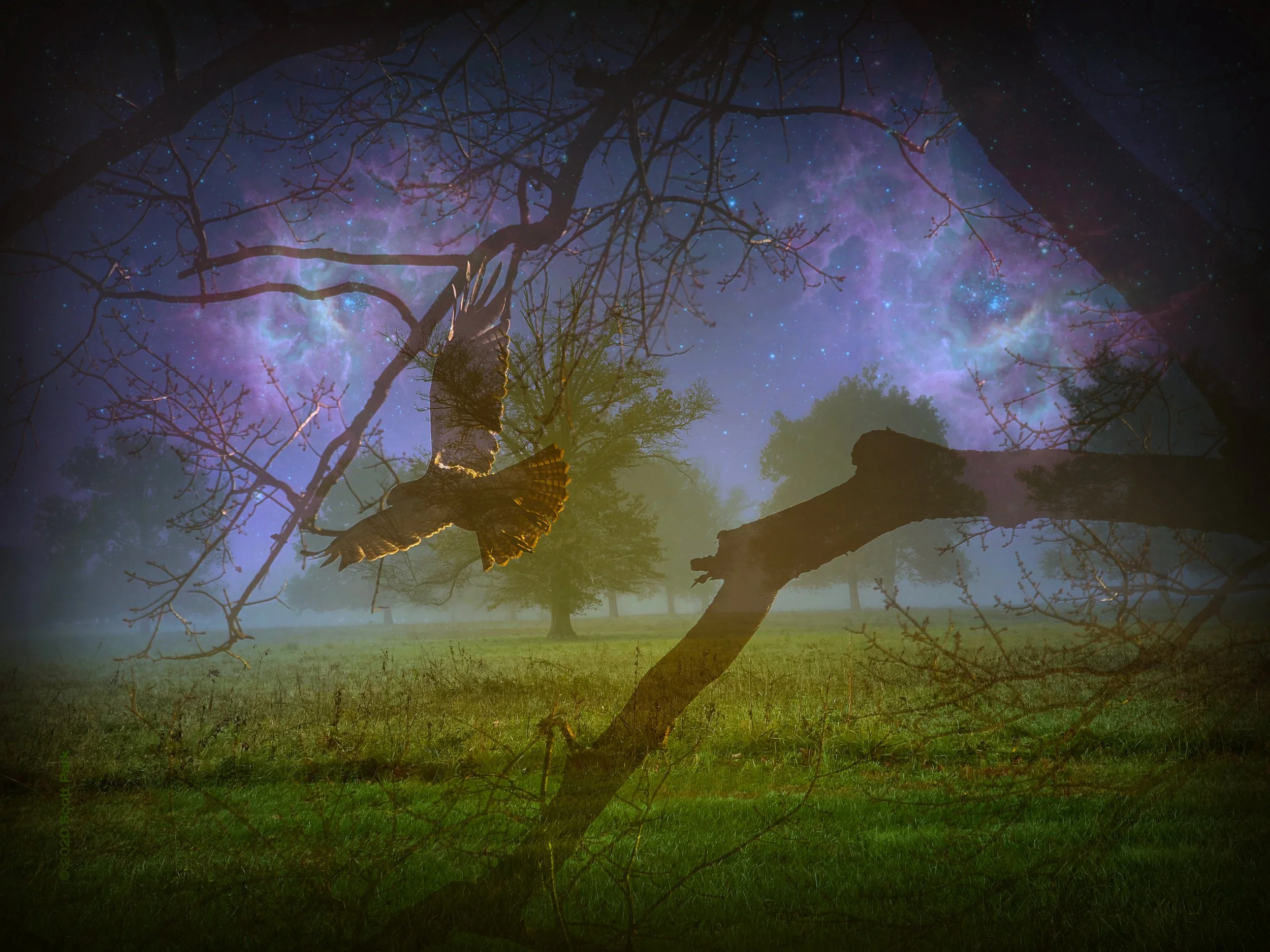 SP STUDIOS | Graphic Design & Marketing Services - Princeton, NJ