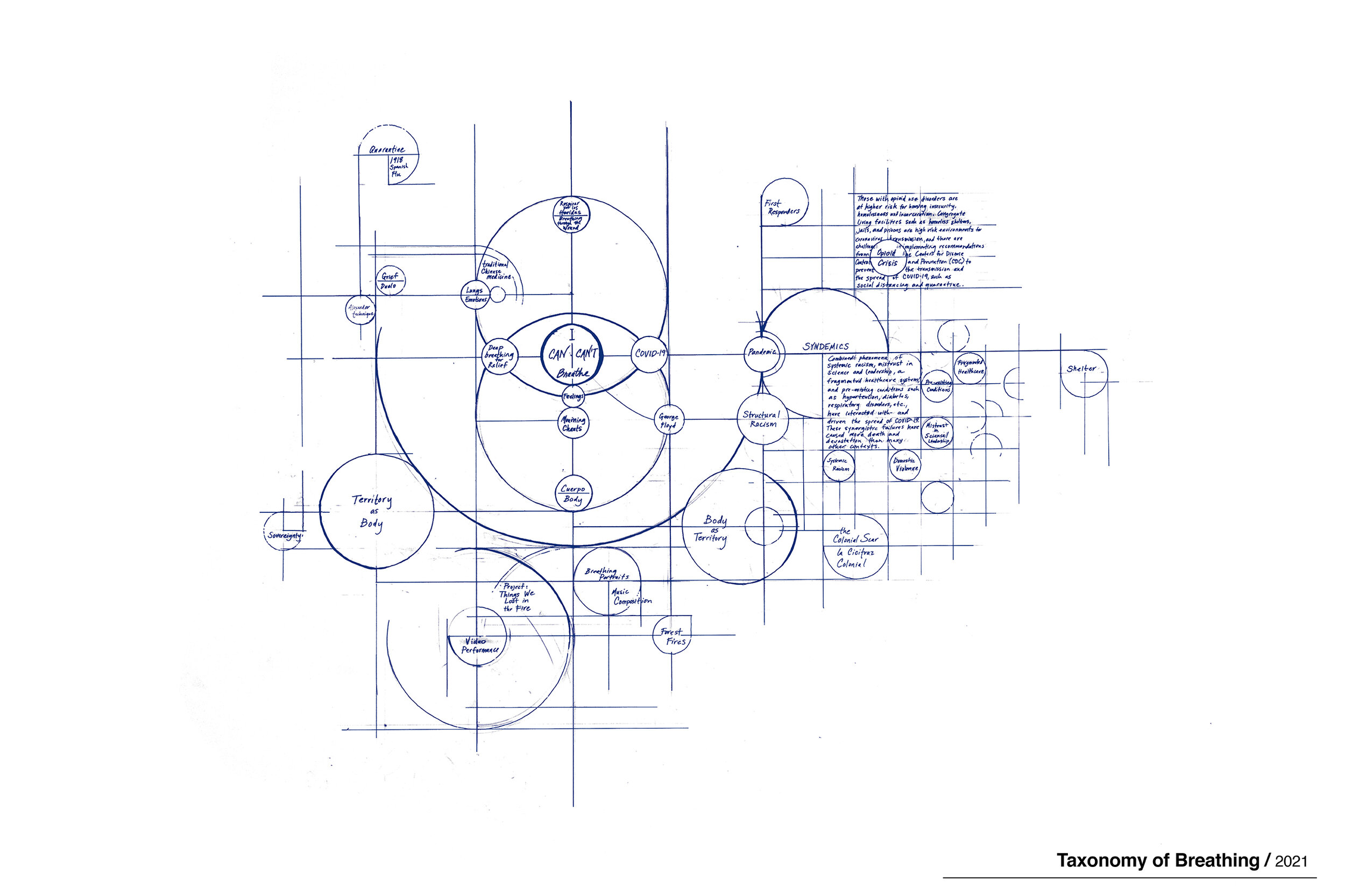 Taxonomy of Breathing | Explore Breath's Power