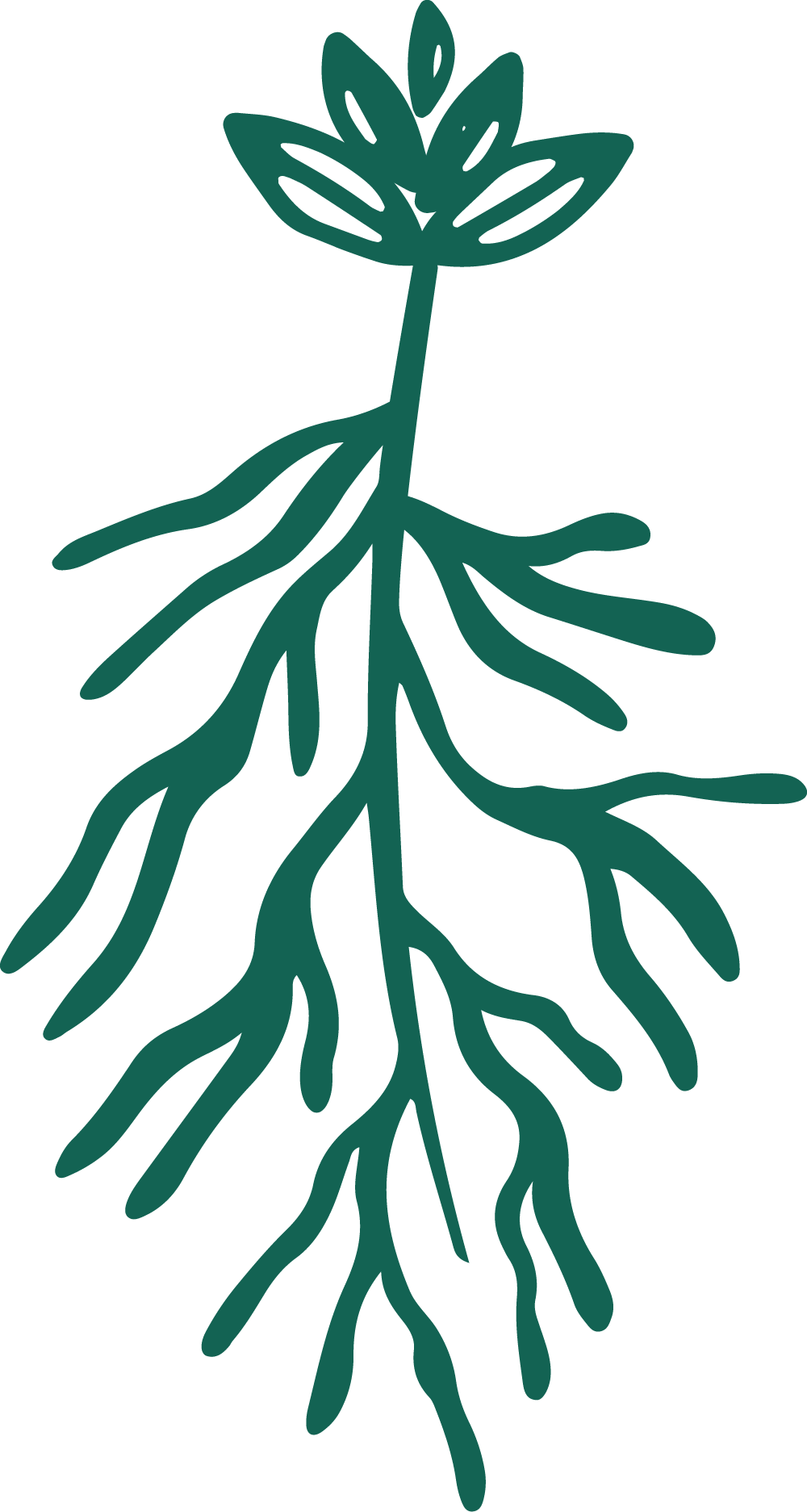 Individual Therapy — Conscious Roots Counseling