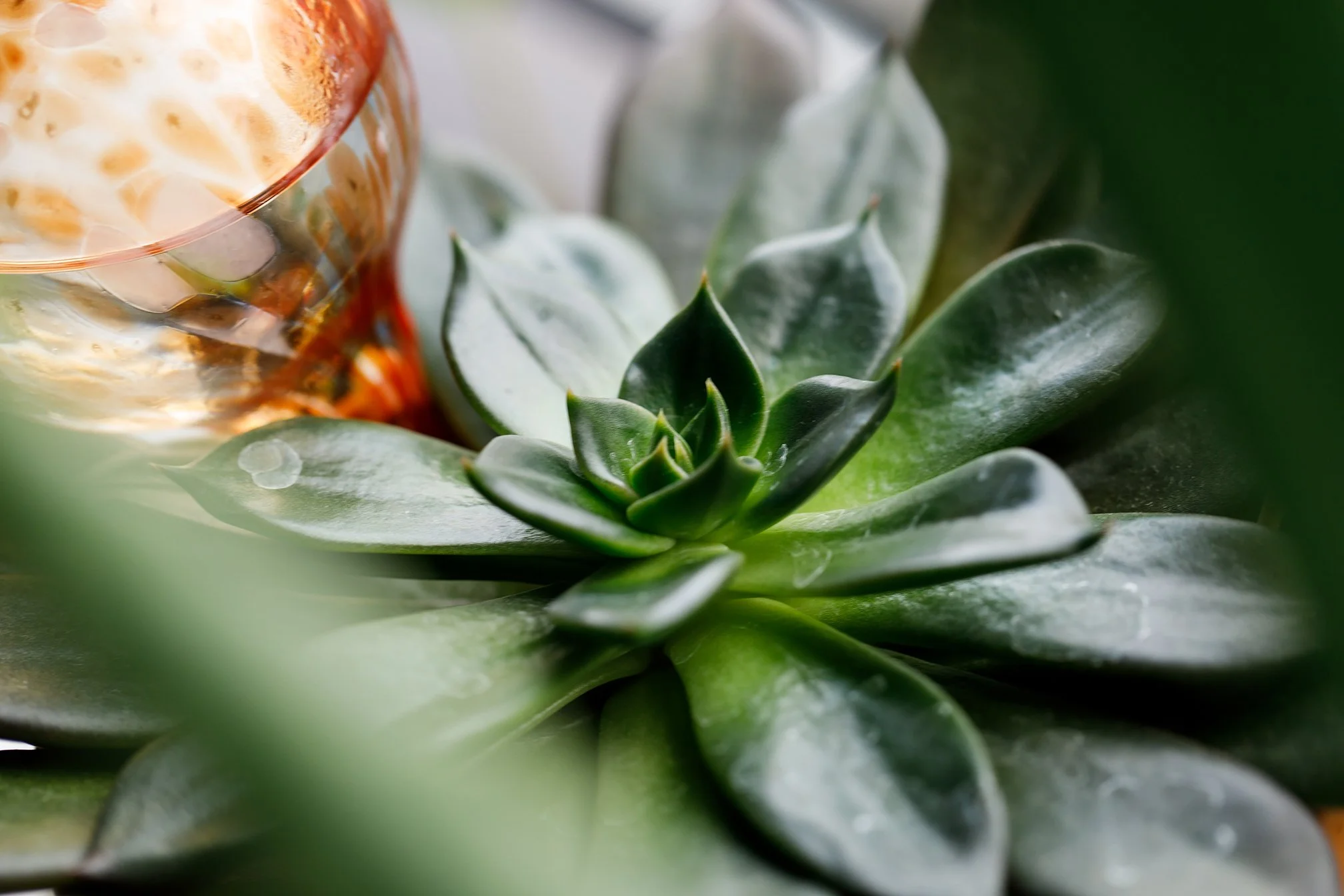 Conscious Roots Counseling | Anxiety Therapy | Cincinnati, Ohio