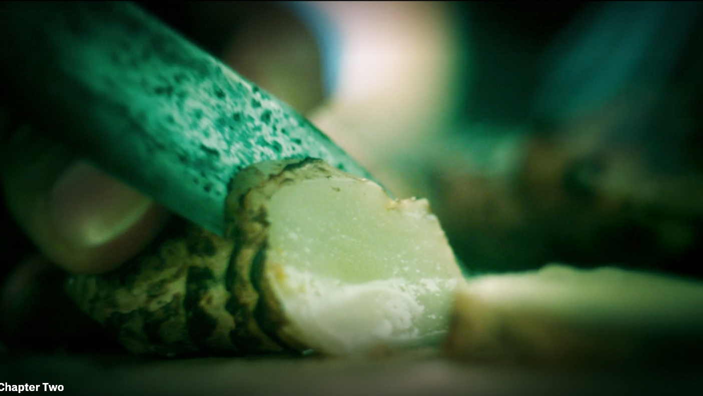 IT Chapter 2 CHUD Ritual Bone Jaw Ancient Dagger — Wookie Designs