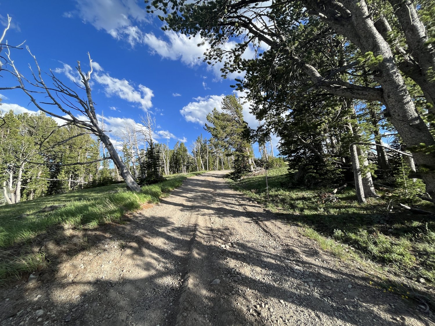 Hiking Mt. Washburn via Chittenden Road in Yellowstone National Park ...