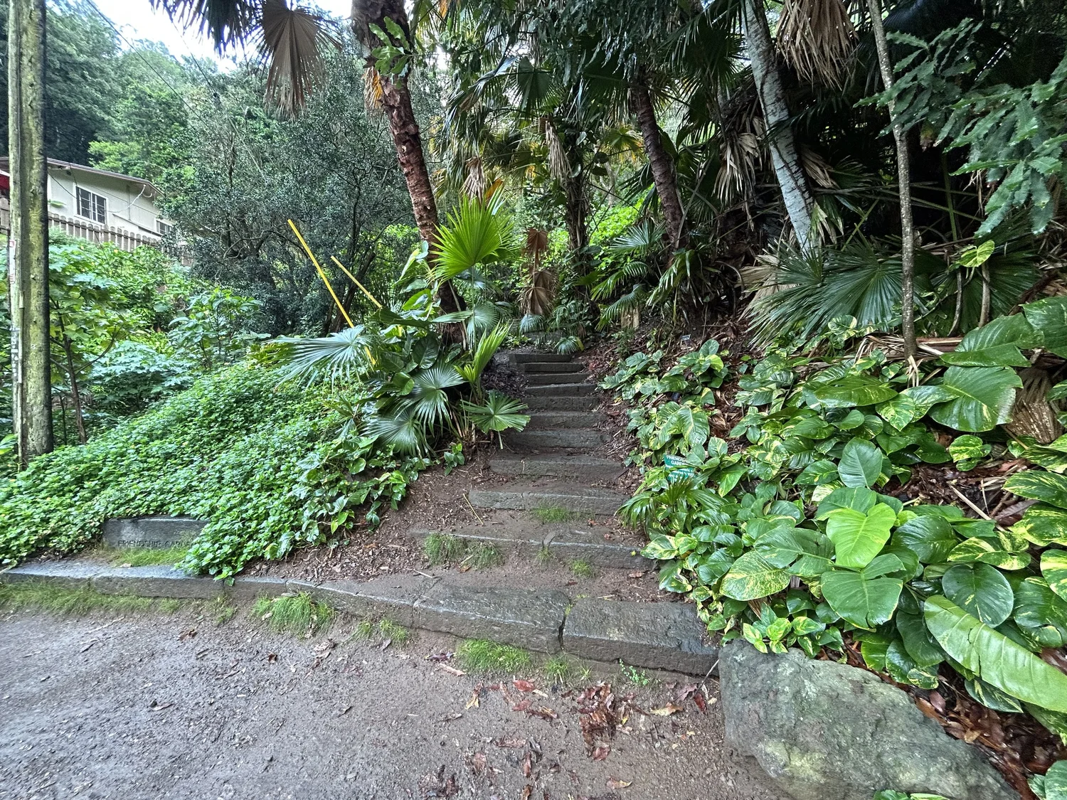 Hiking the Oneʻawa Hills Trail (Kapaʻa Quarry) via the Friendship ...