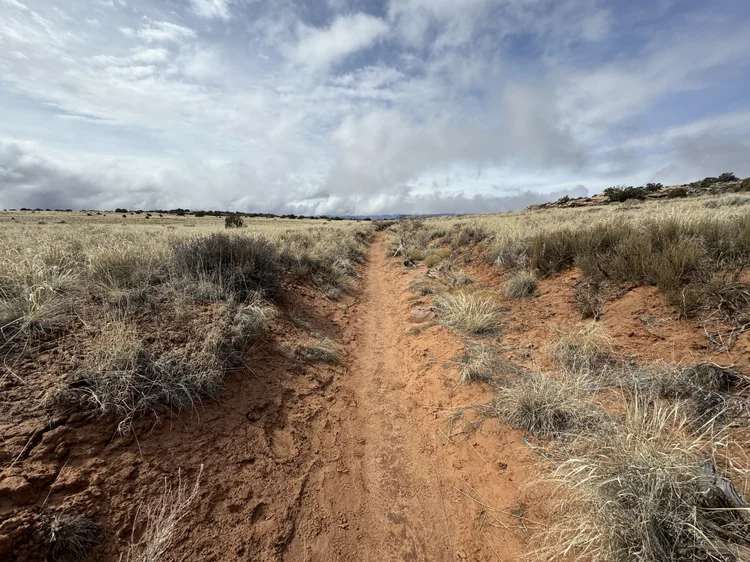 Hiking the Murphy Point Trail in Canyonlands National Park — noahawaii