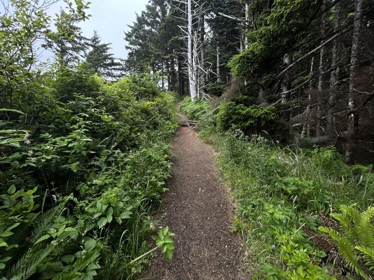 Hiking the Indian Beach Trail on the Oregon Coast — noahawaii