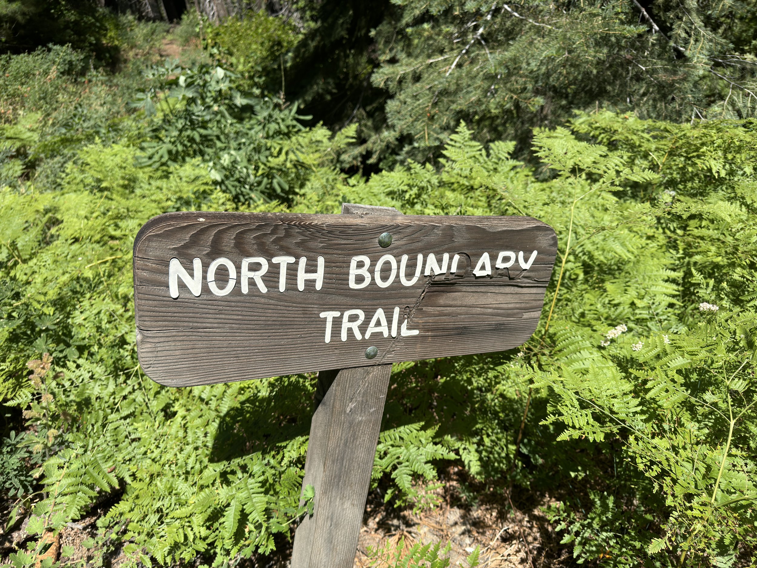 Hiking the North Boundary–Lone Pine Loop Trail in Kings Canyon National ...