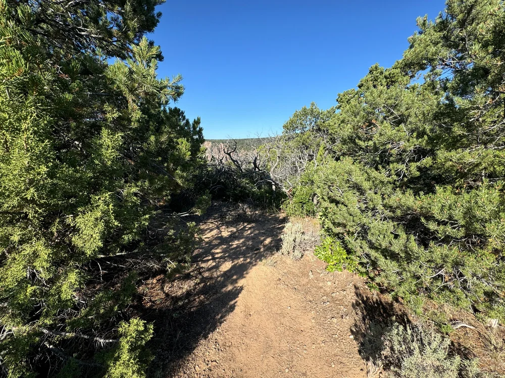 Hiking the Pinyon Draw Trail (S.O.B. Draw) in Black Canyon of the ...